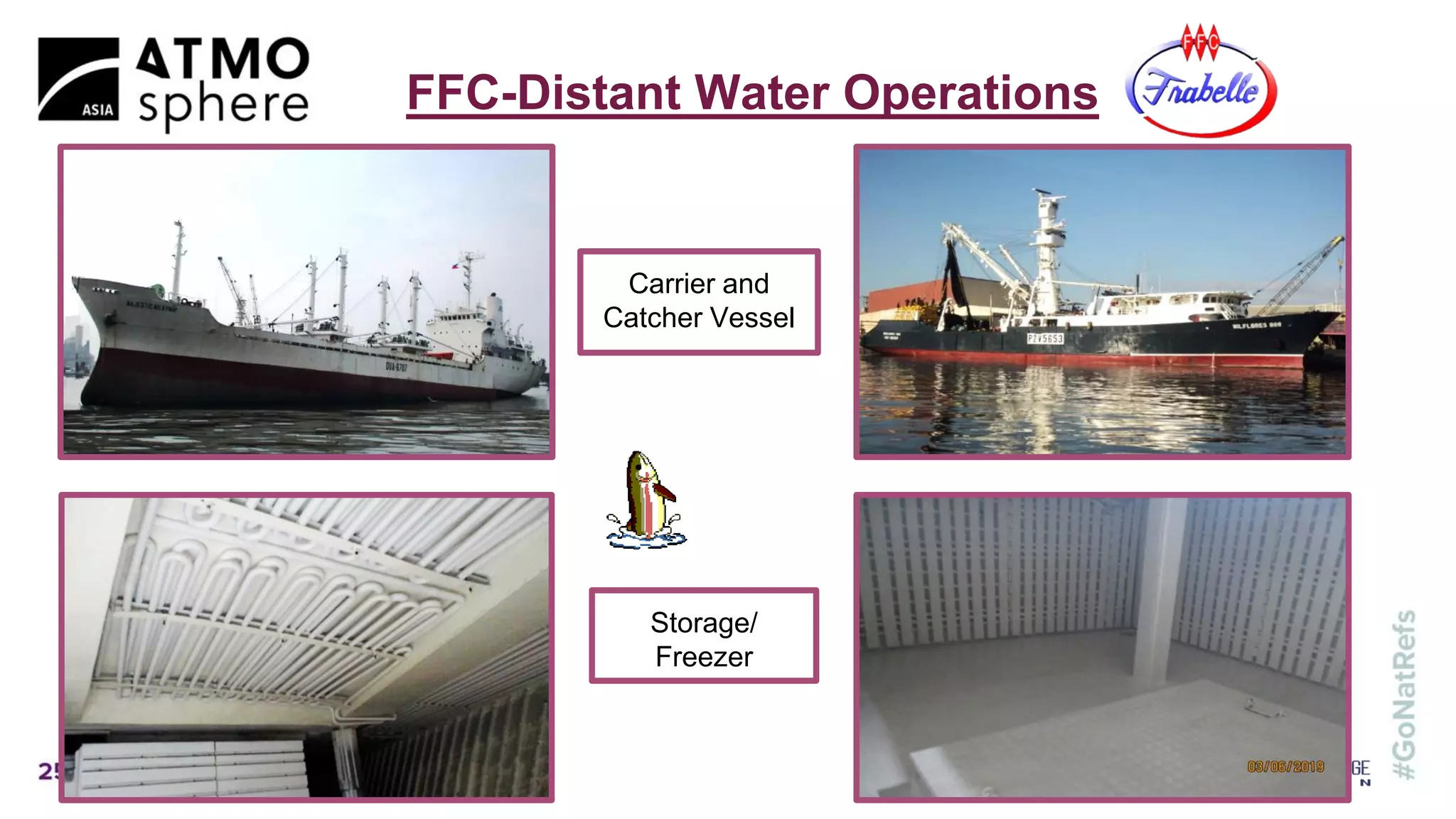 Frabelle and the Philippine cold storages situation | PDF