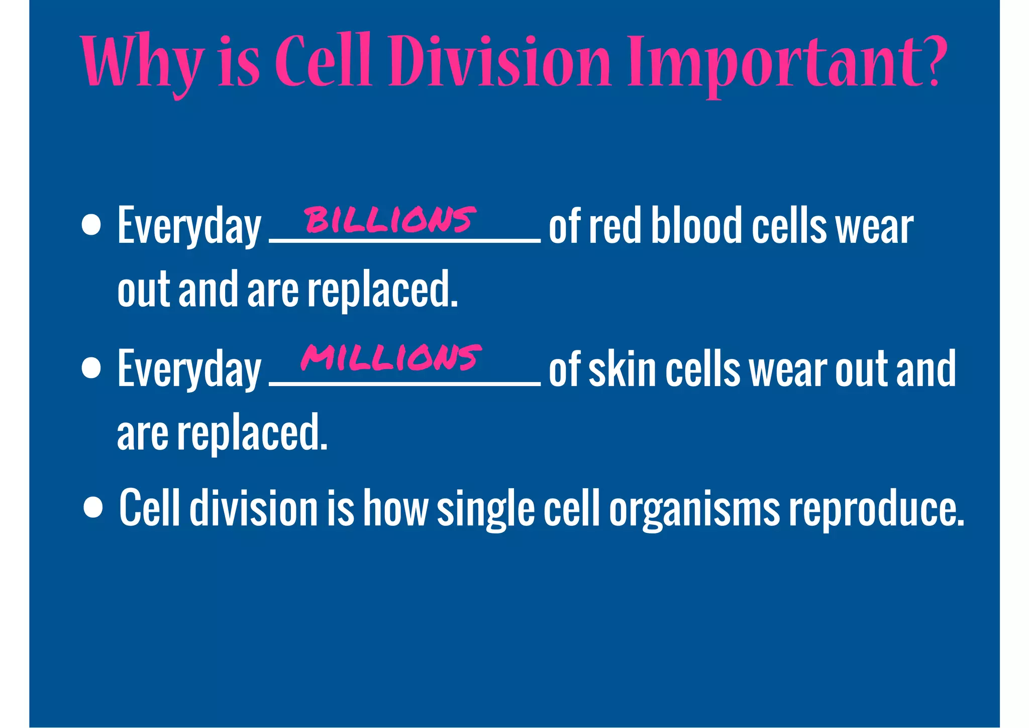Cell Division and Mitosis (4.1) | PDF