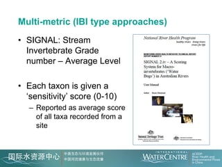 4.1 macro invertebrates as ecological indicators-en | PPTX