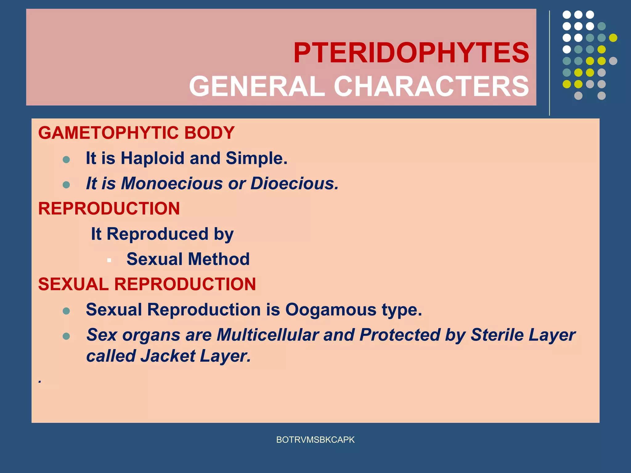 4 1 pteridophytes -general characters & economic importance | PDF