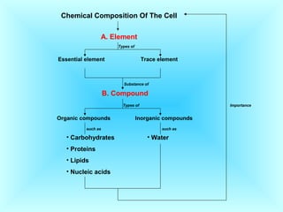 The Chemical Composition of Cell | PPT