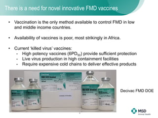 OS16 - 4.P1.b Vaccine Efficacy of FMD Virus-Like Particles Produced by ...