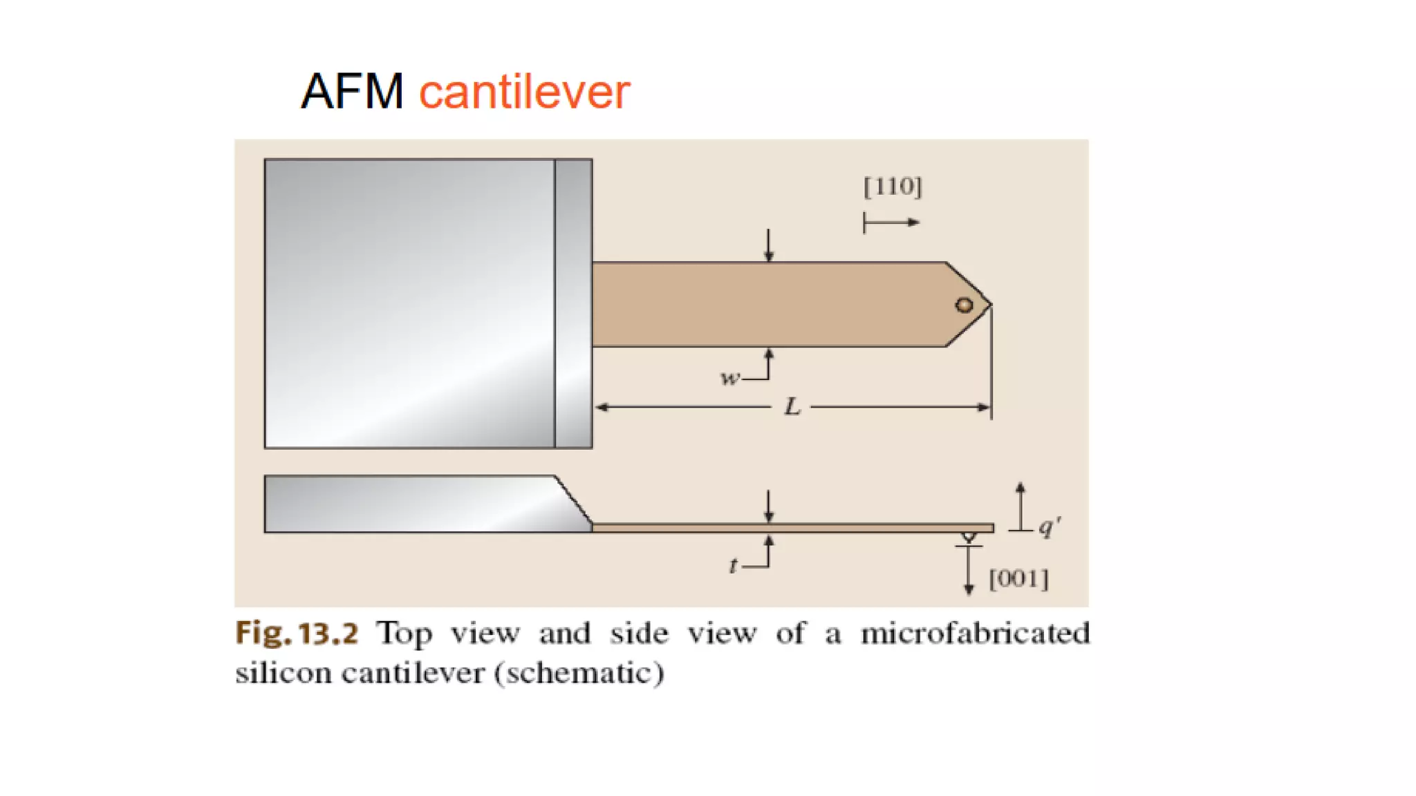 Scanning Probe Microscopy (STM) and AFM | PDF