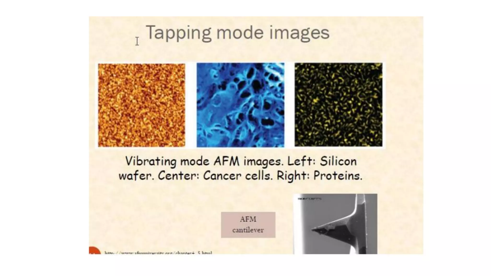 Scanning Probe Microscopy (STM) and AFM | PDF