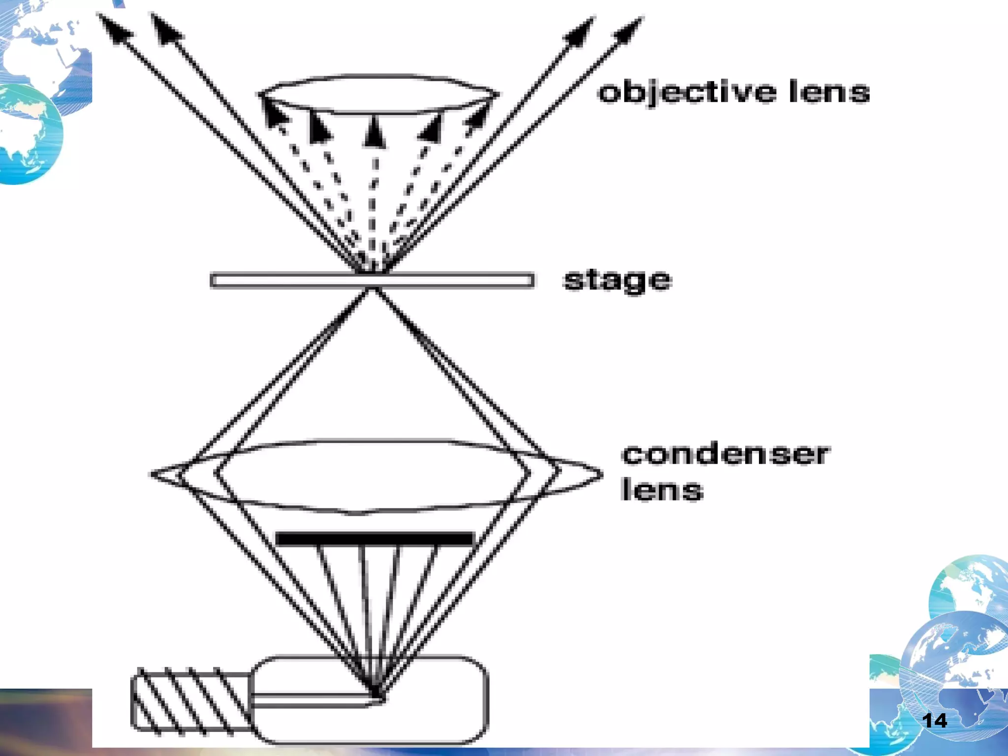 Dark field microscopy | PDF