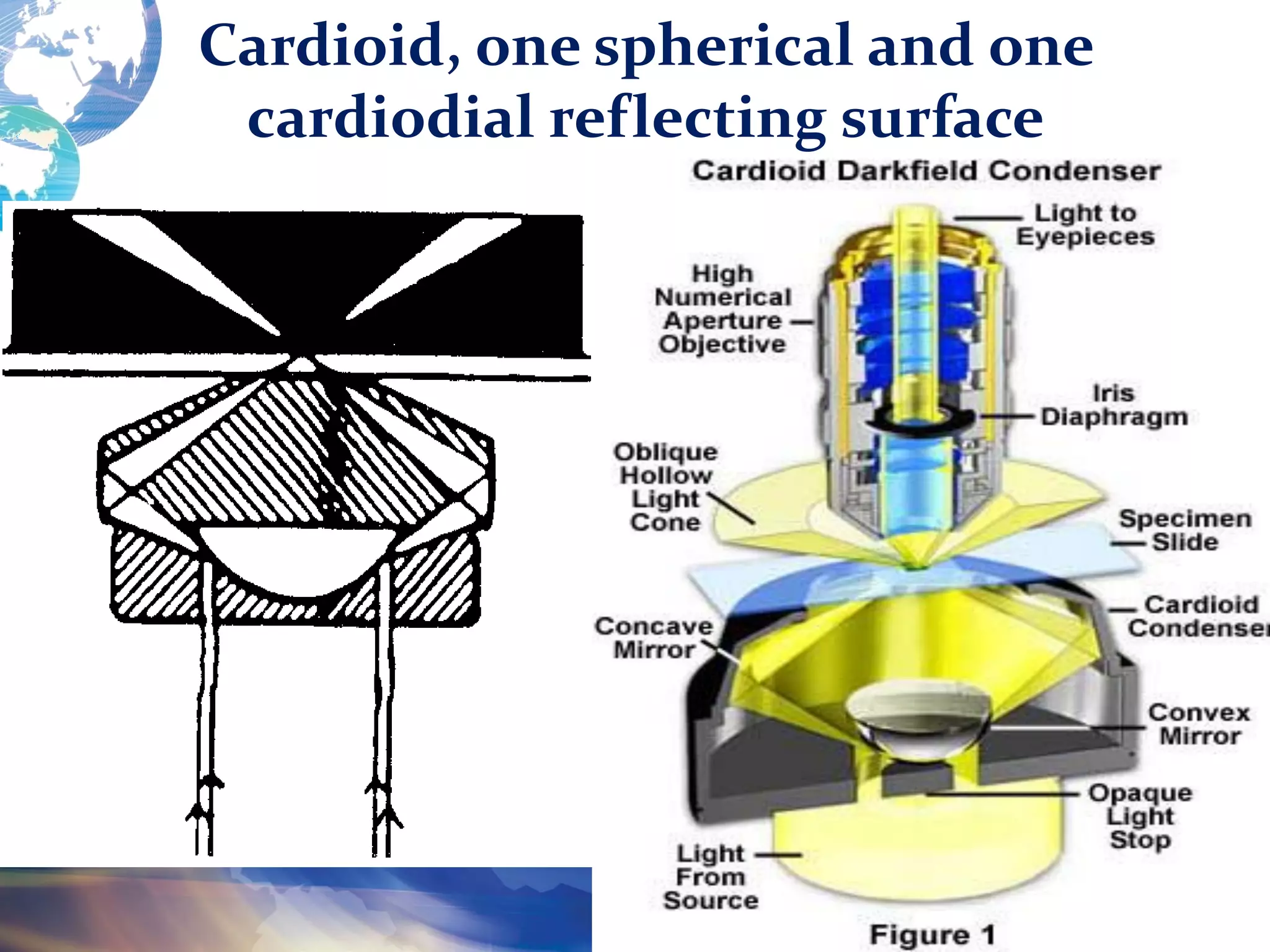 Dark field microscopy | PDF