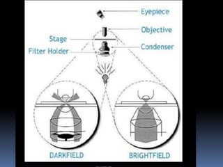 Dark field microscopy | PDF