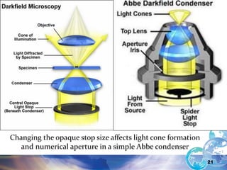 Dark field microscopy | PDF