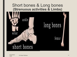 Skeletal system (Healthy of Bones,Joints)& Yoga by Dr.Nutan Pakhare | PPT