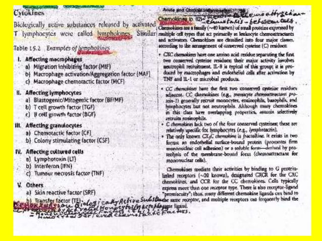 4. Regeneration & Healing | PPT