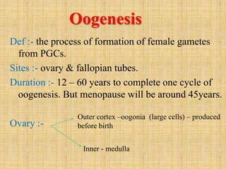 Gametogenesis by Shyam Babu Rauniyar (Lecturer,National Medical College, Birgunj,Nepal) | PPT