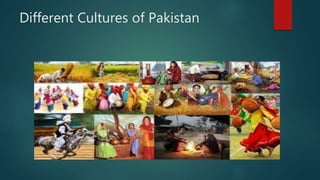 Pakistan Culture And Society|Different Cultures of Pakistan|Culture ...