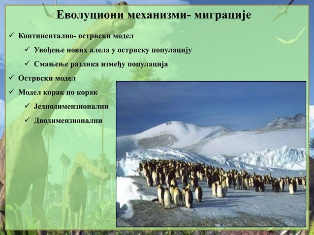 4. Mehanizmi evolucije | PPT