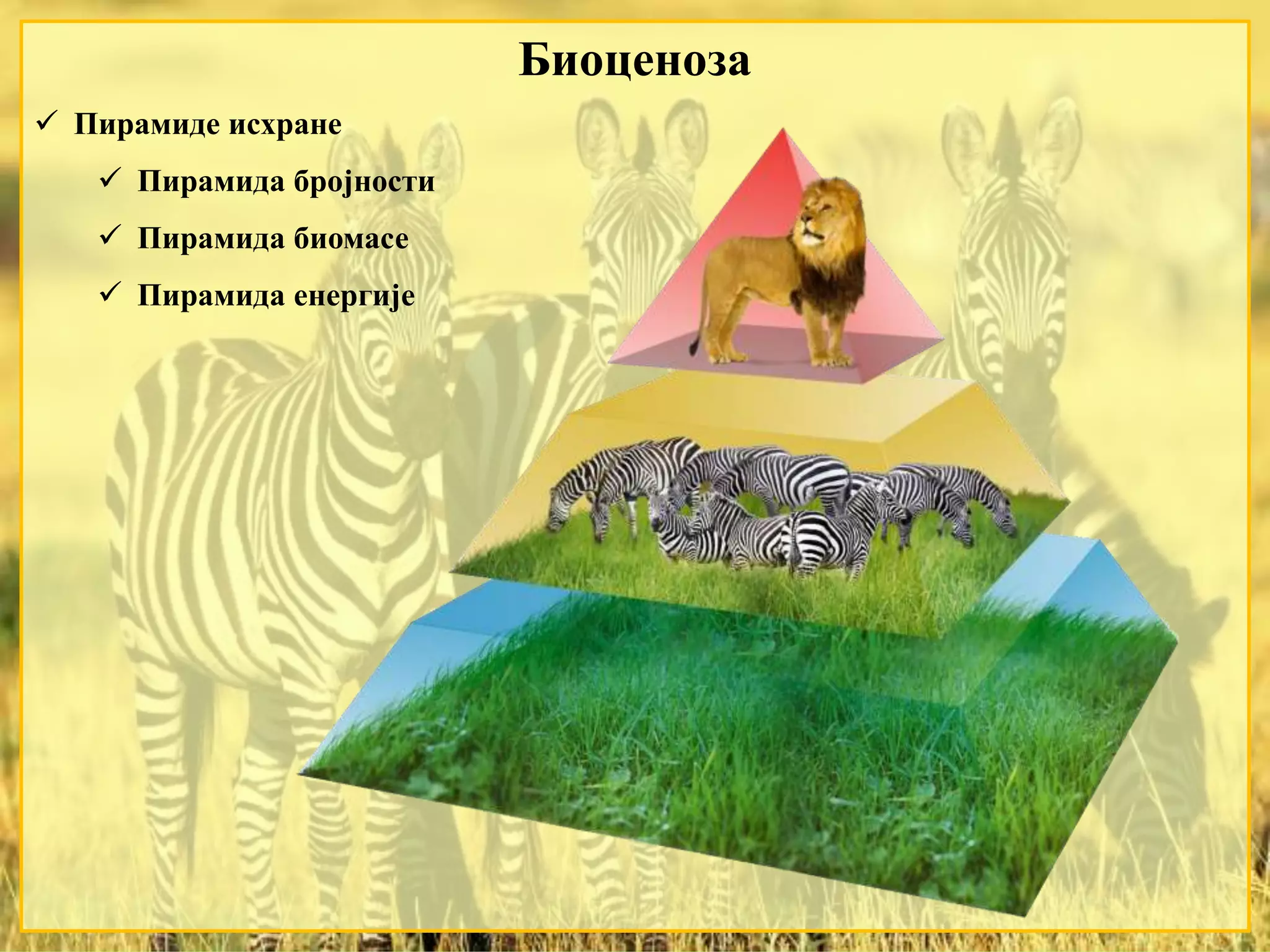 4. Biocenoza i odnosi u biocenozi | PPT