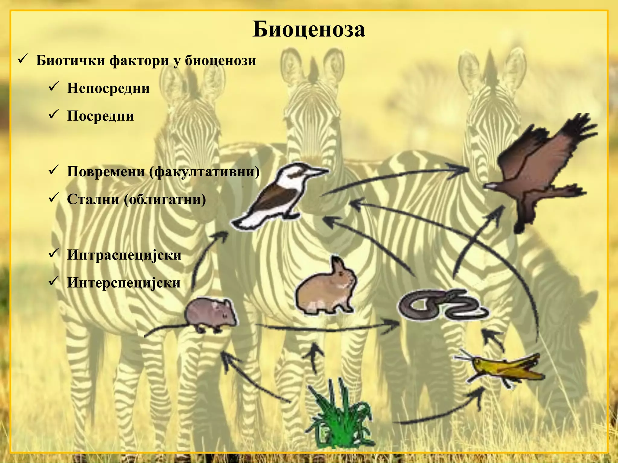 4. Biocenoza i odnosi u biocenozi | PPT