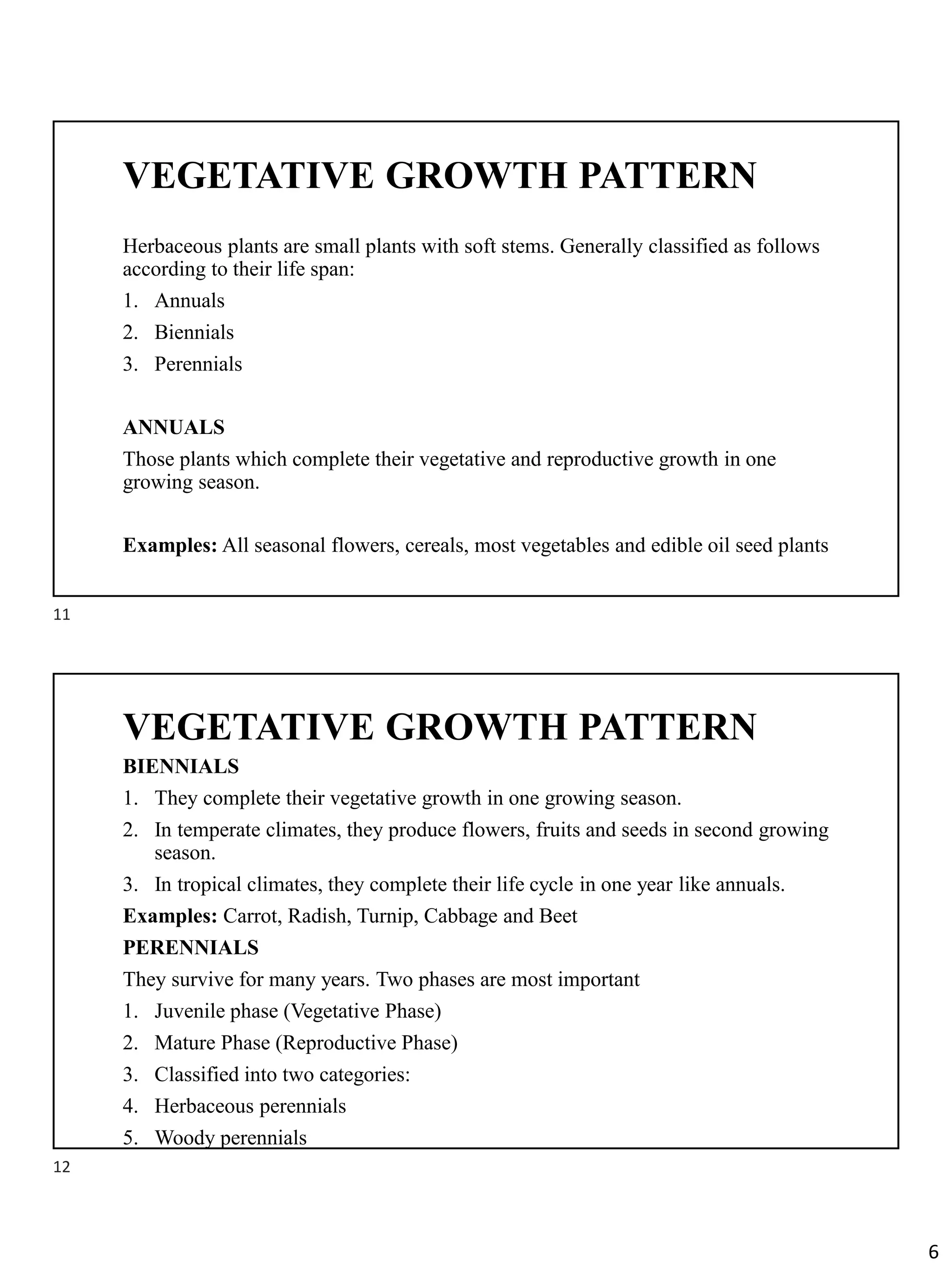 4. phases of plant growth and development | PDF