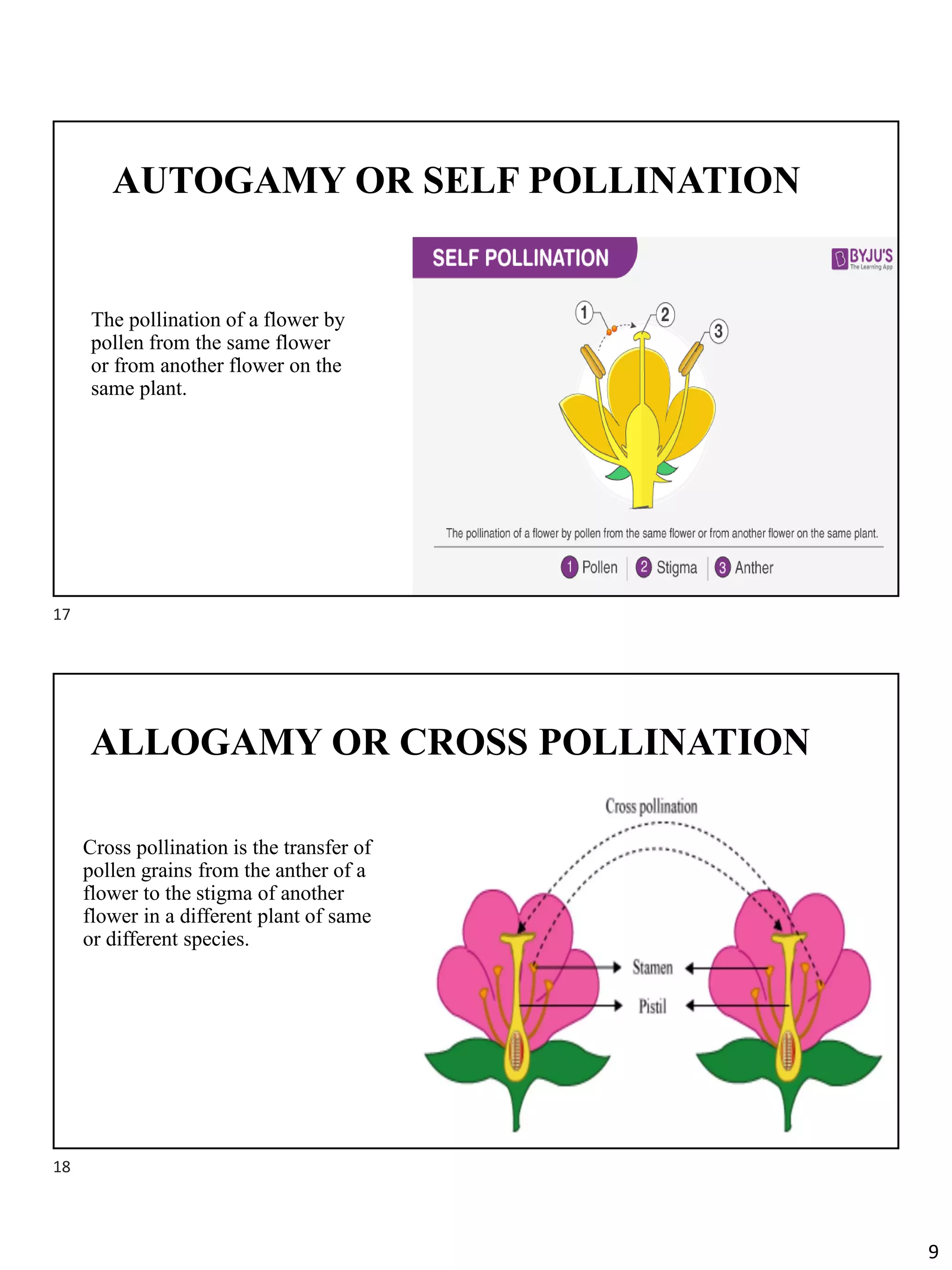 4. phases of plant growth and development | PDF