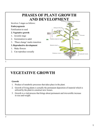 4. phases of plant growth and development | PDF