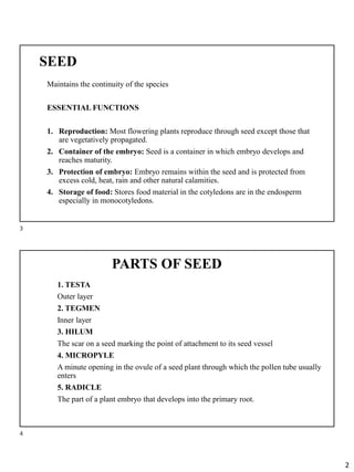 4. phases of plant growth and development | PDF