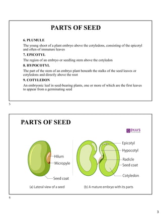 4. phases of plant growth and development | PDF
