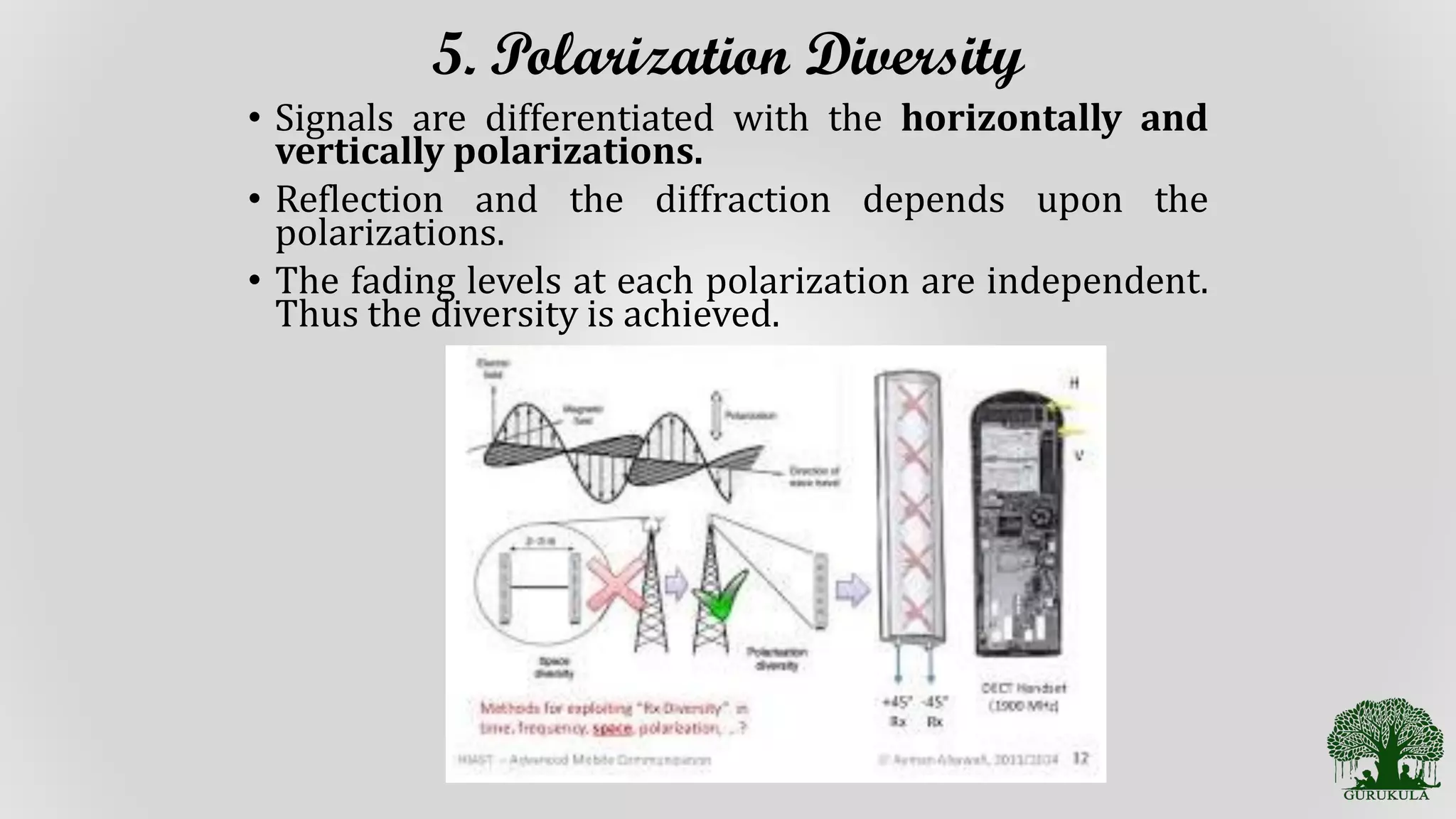 4.3 types of diversity | PDF