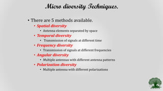 4.3 types of diversity | PDF