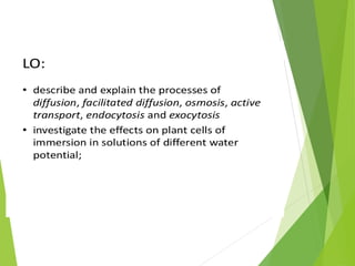 4. cell membrane and transport 7-1-19.pptx