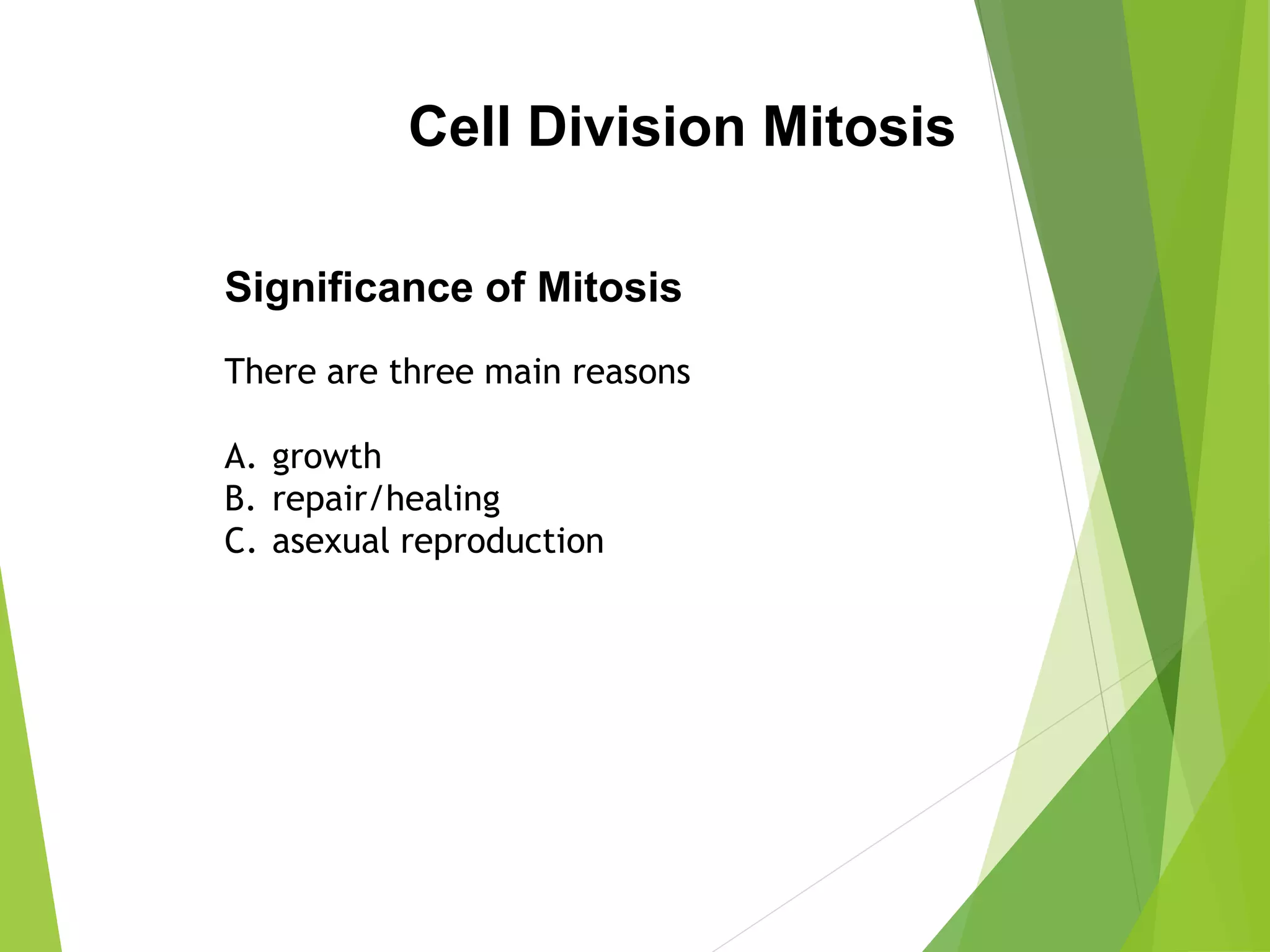 The Mitotic Cell Cycle | PPT