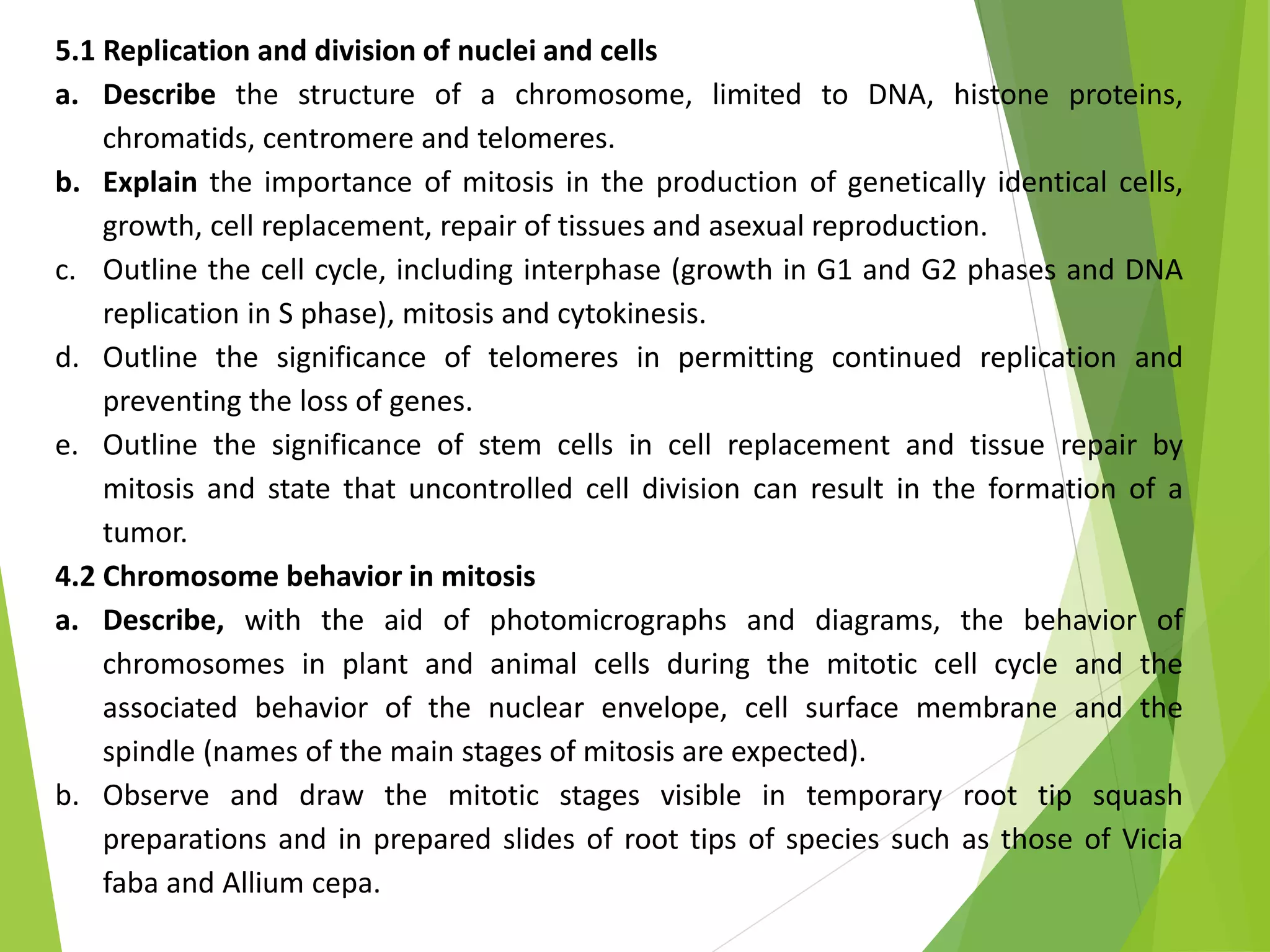 The Mitotic Cell Cycle | PPT