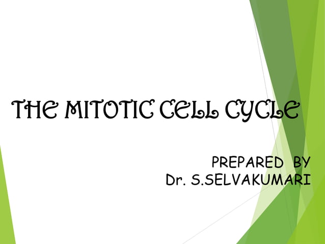 The Mitotic Cell Cycle | PPT