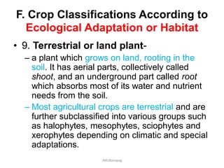 Classification of Agricultural Crops | PDF