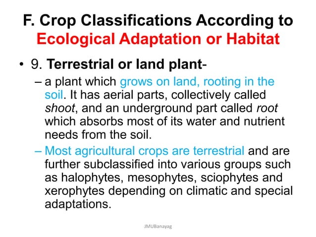 Classification of Agricultural Crops | PDF