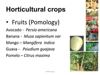 Classification of Agricultural Crops | PDF
