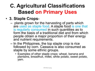 Classification of Agricultural Crops | PDF