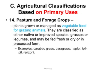Classification of Agricultural Crops | PDF