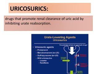 4.2 drugs in gout and RA | PPT