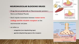4.3 neuromuscular blocking agents and Myasthenia Gravis drugs | PPT
