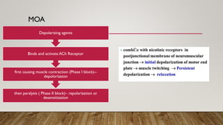 4.3 neuromuscular blocking agents and Myasthenia Gravis drugs | PPT