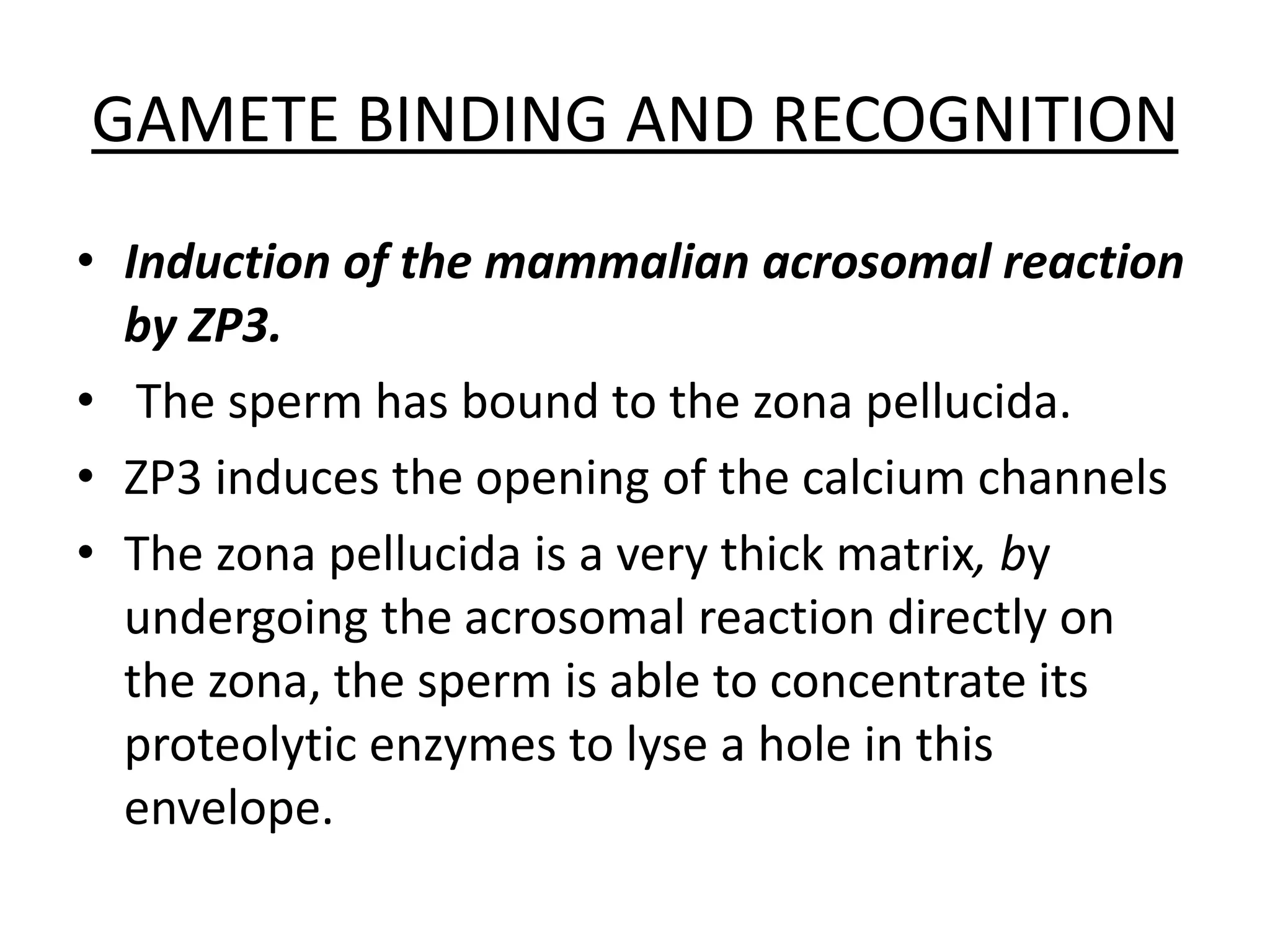 Molecular event during fertilization | PPT