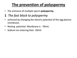 Molecular event during fertilization | PPT