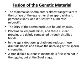 Molecular event during fertilization | PPT