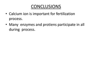 Molecular event during fertilization | PPT