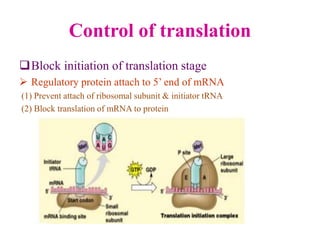 Control of eukariyotic genes | PPT