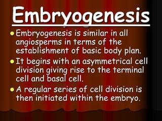 Development in arabidopsis | PPT