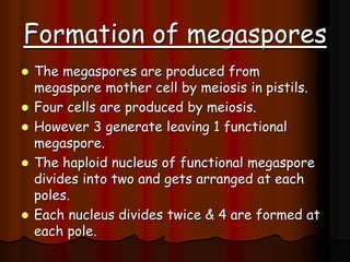 Development in arabidopsis | PPT