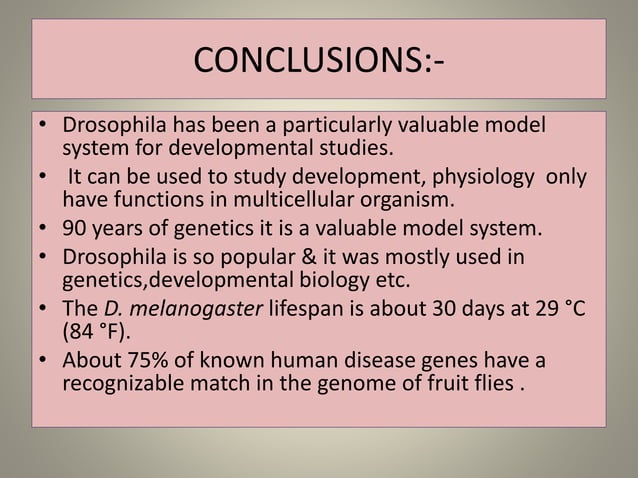 Development in drosophila | PPTX | Genetics | Science