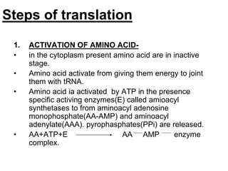 Protein synathesis in eukariyotes | PPT