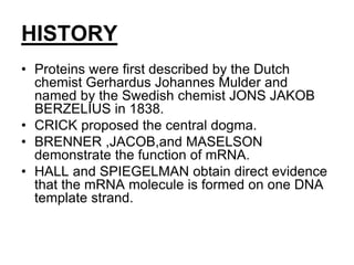 Protein synathesis in eukariyotes | PPT