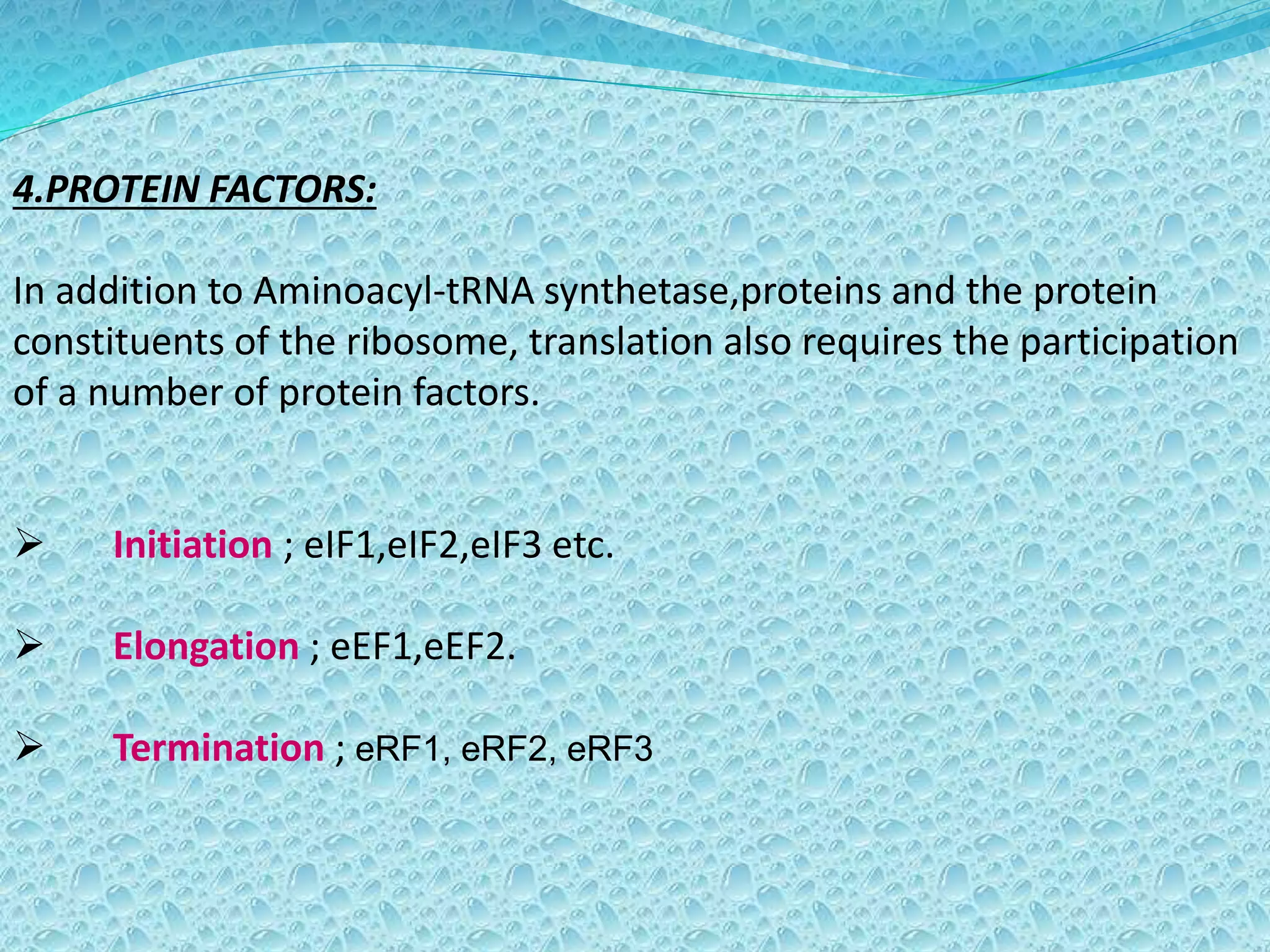 Biosynthesis of protein in eukariotes | PPT