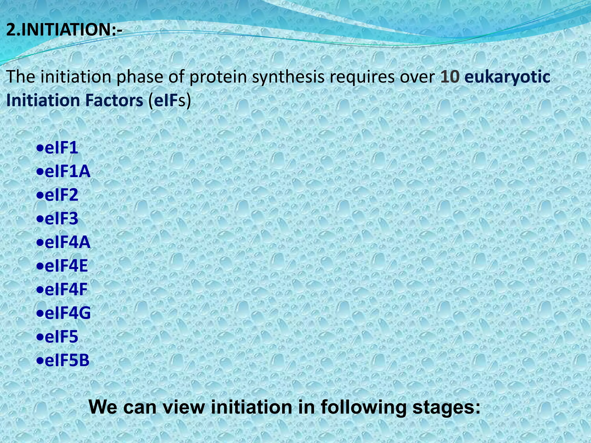 Biosynthesis of protein in eukariotes | PPT